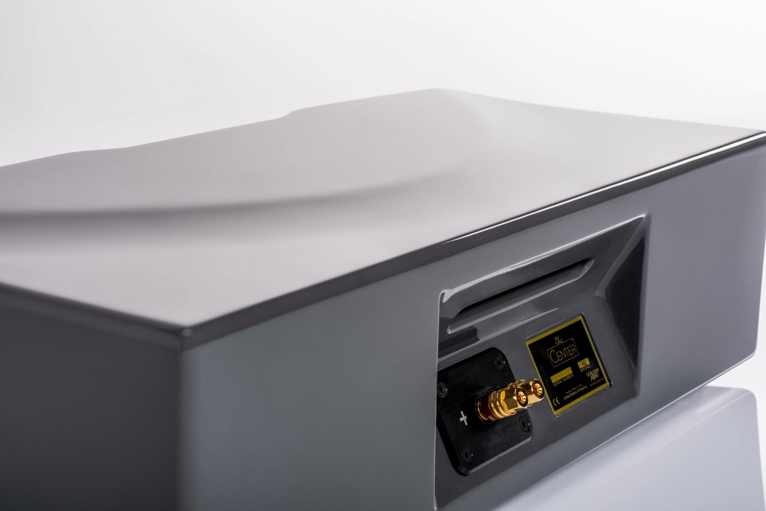 Wilson Audio WASAE Center Channel - Audio Element: HiFi Experts ...